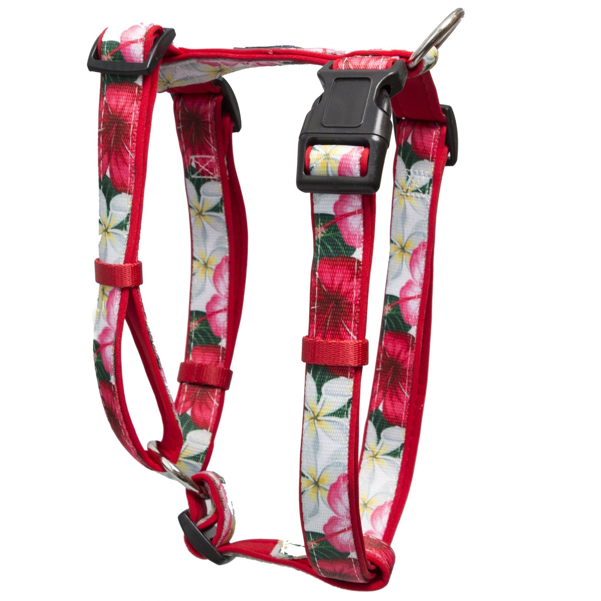 Shop H-Harnesses for Dogs Online 🪢 | Dizzy Dog Collars – Dizzy Dog Collars