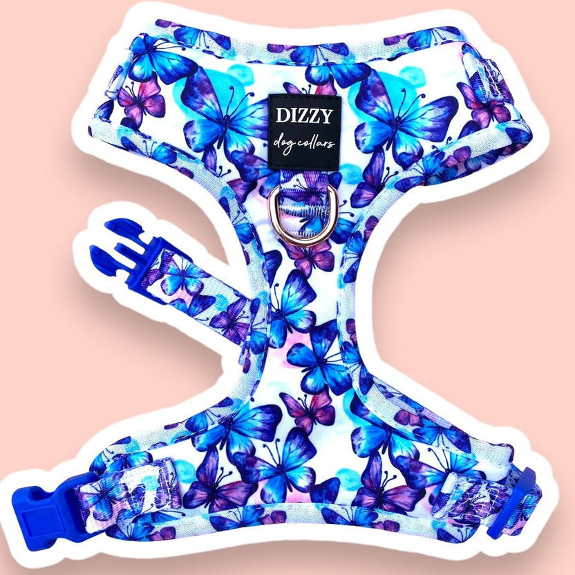 Browse Our Range of Dog Toys Online 🐶 | Dizzy Dog Collars – Dizzy Dog ...