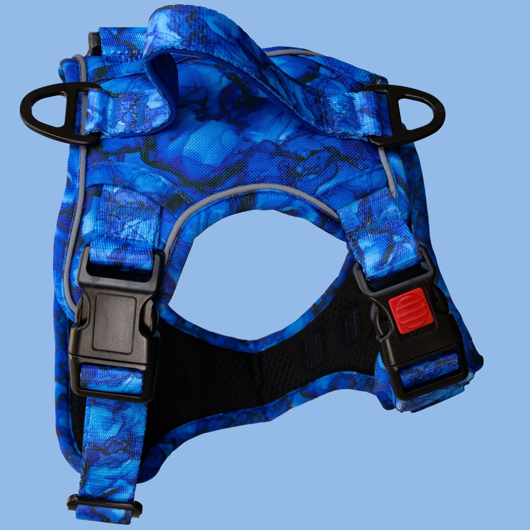 Shop No Pull Dog Harness Australia 🐶 | Dizzy Dog Collars – Page 2 ...