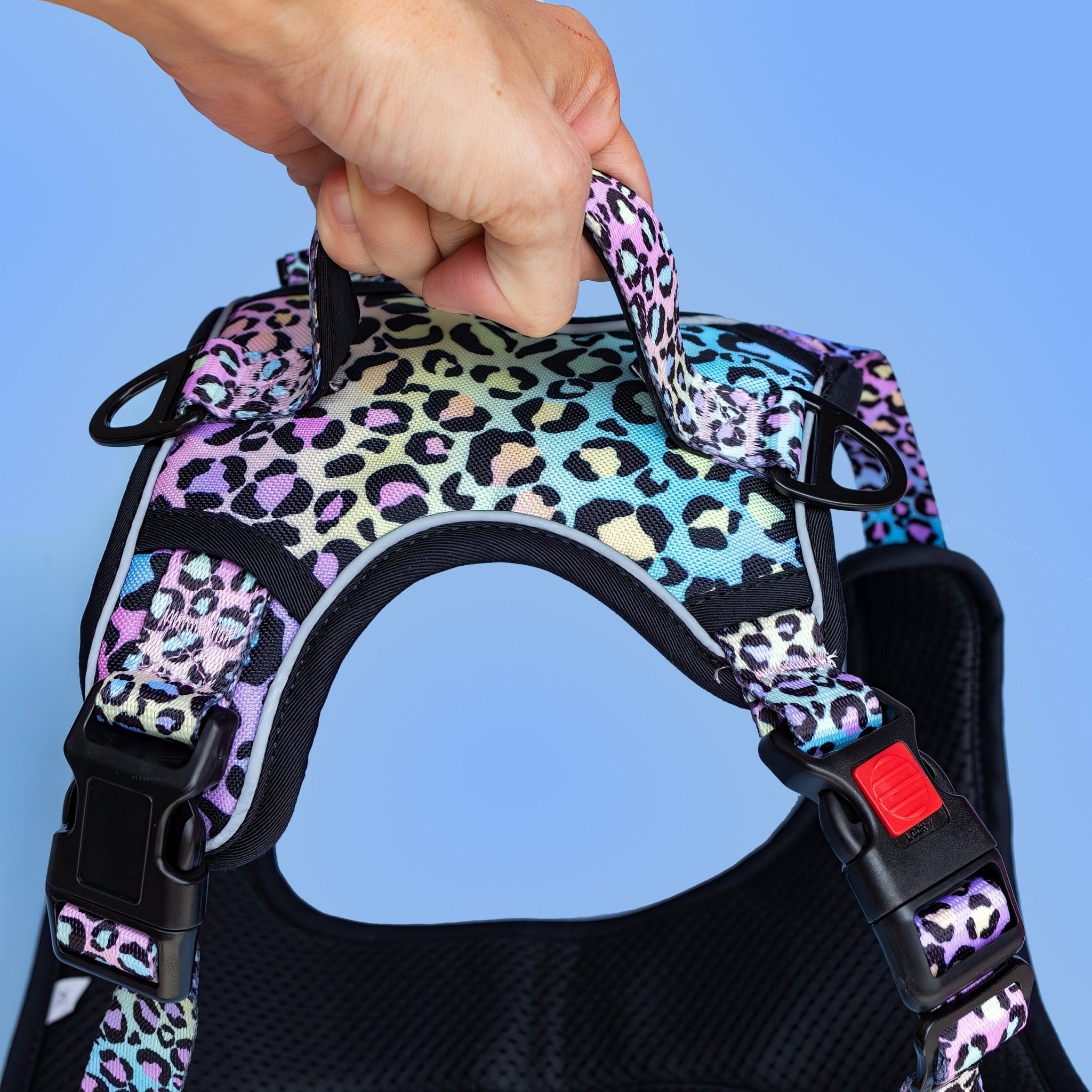 Shop Our Step-In Harnesses Online 🦮 | Dizzy Dog Collars – Page 2 ...