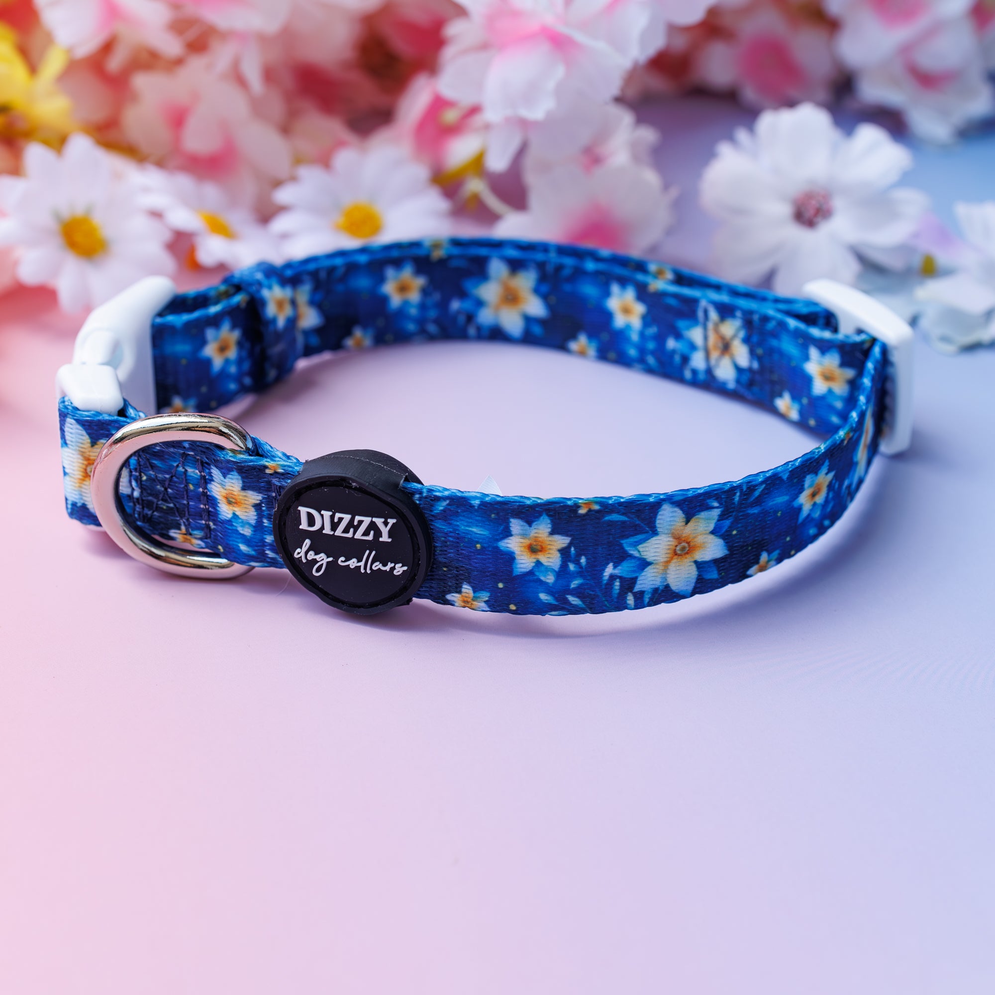 Riviera Romance Dog Collar | Value Range Dog Collar – Dizzy Dog Collars