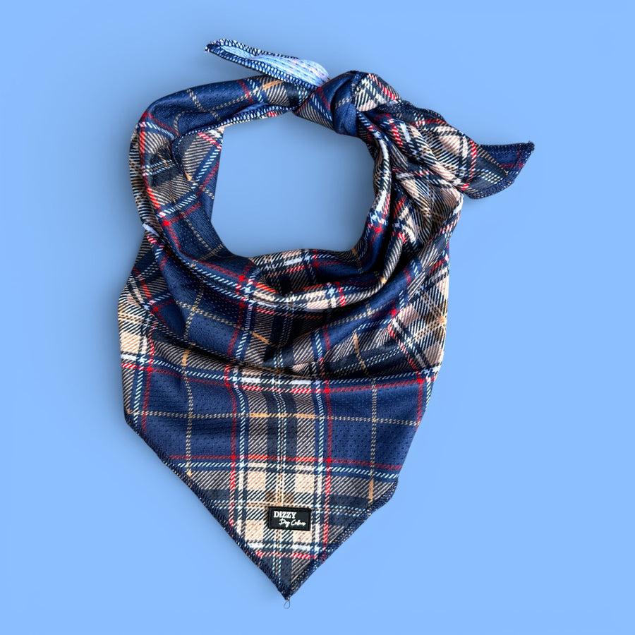 New 2026 Dog Collars & Accessories - Dizzy Dog Collars – Dizzy Dog Collars