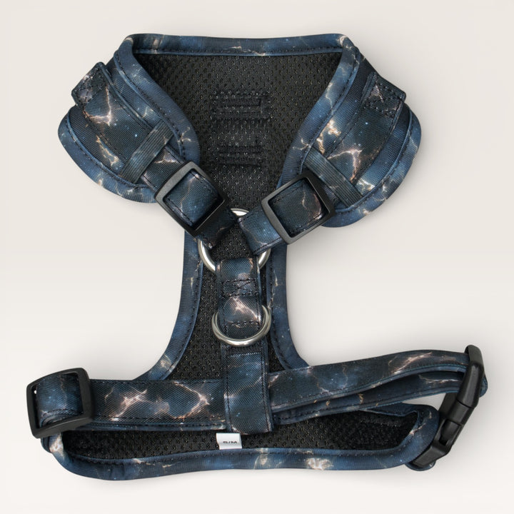 New 2026 Dog Collars & Accessories - Dizzy Dog Collars – Page 2 – Dizzy ...