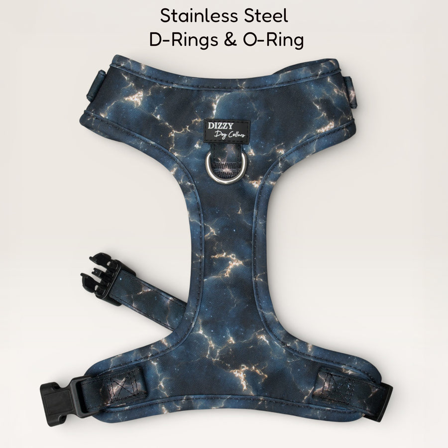 New 2026 Dog Collars & Accessories - Dizzy Dog Collars – Page 2 – Dizzy ...