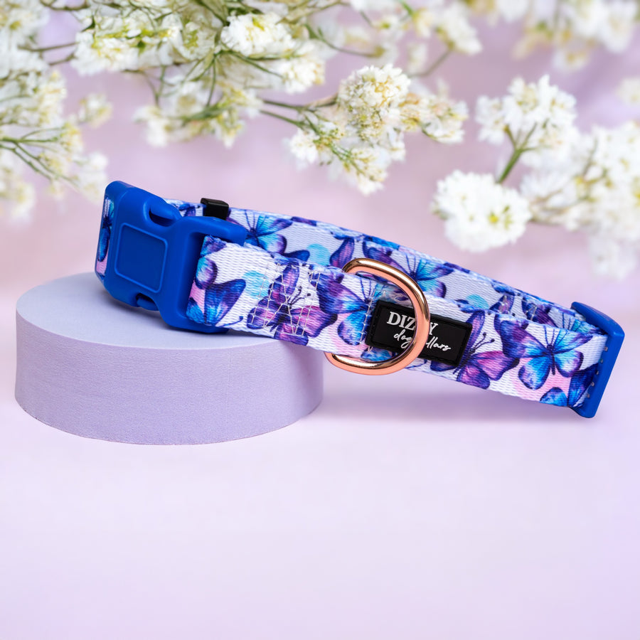 Designer And Australian Made Dog Collars | Dizzy Dog Collars – Dizzy ...