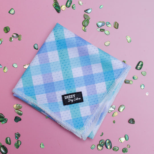 Breezy Blue Gingham Dog Collars & Accessories - Dizzy Dog Collars ...