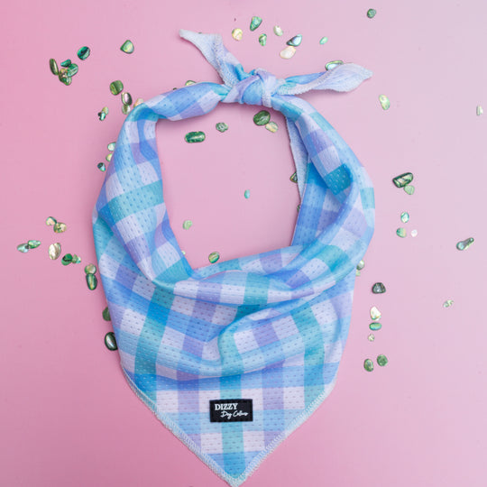 Breezy Blue Gingham Dog Collars & Accessories - Dizzy Dog Collars ...