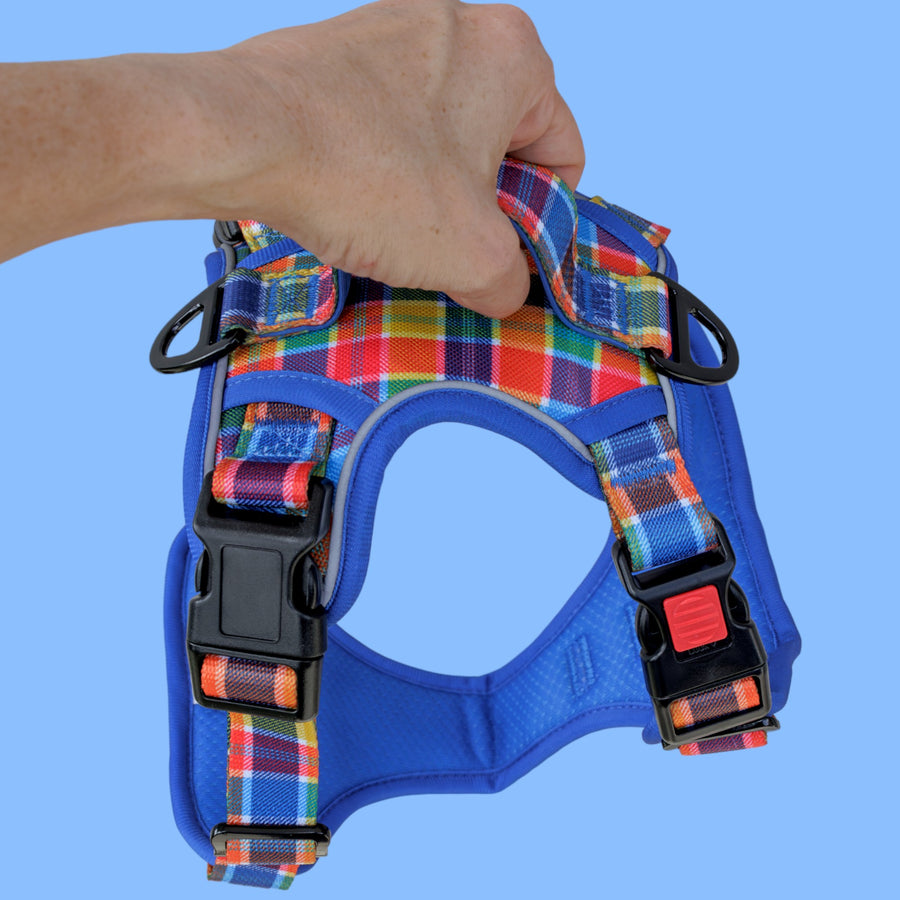 Country Plaid Dog Collars And Harnesses | Dizzy Dog Collars – Dizzy Dog ...