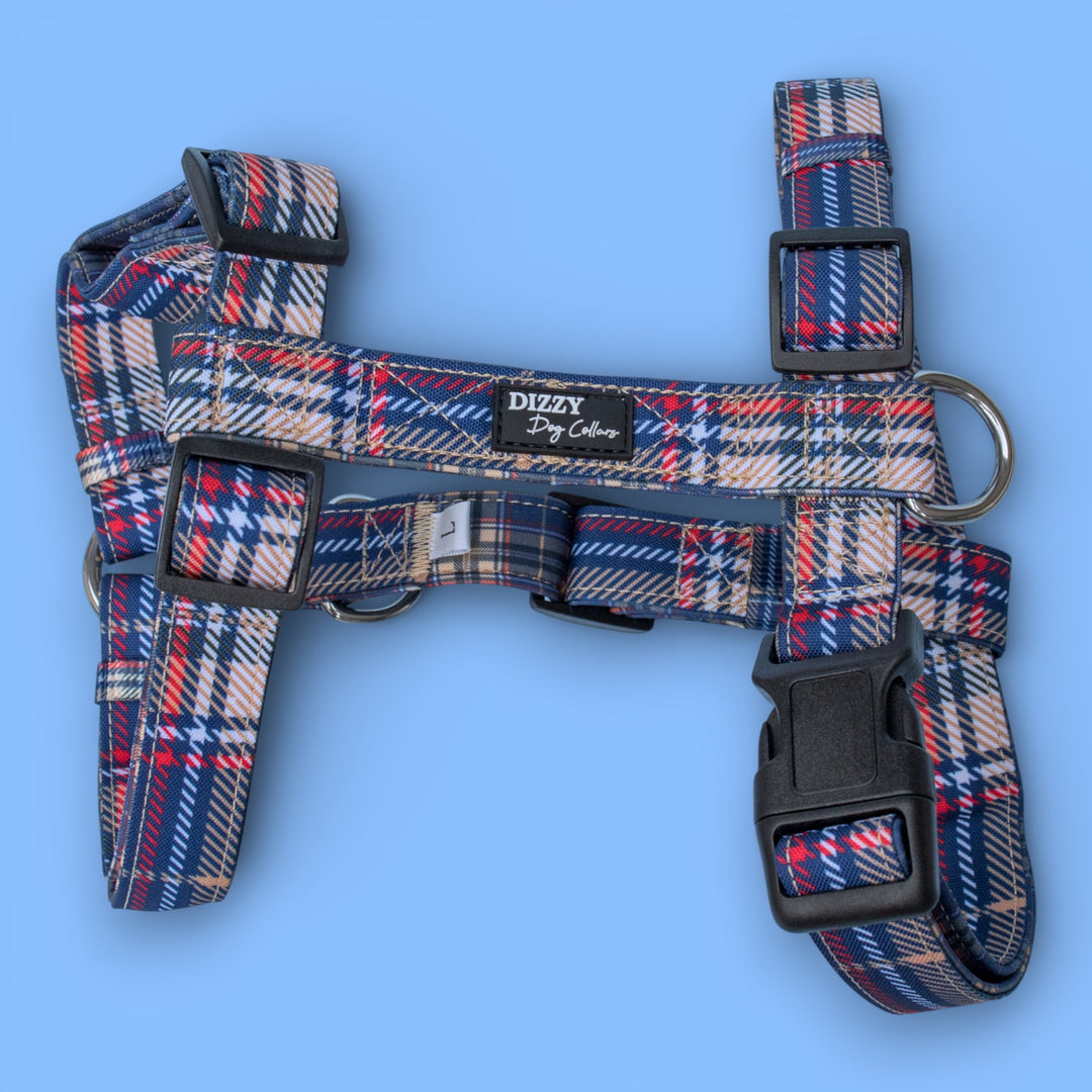 Highland Charm: H-Harness | Front & Back Attachment | Stainless Steel ...