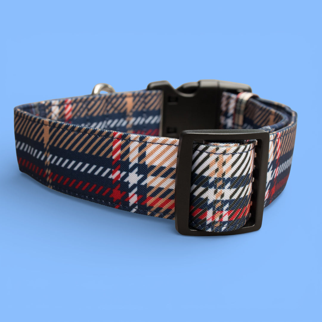 Extra Wide Highland Charm Dog Collar | Stainless Steel – Dizzy Dog Collars