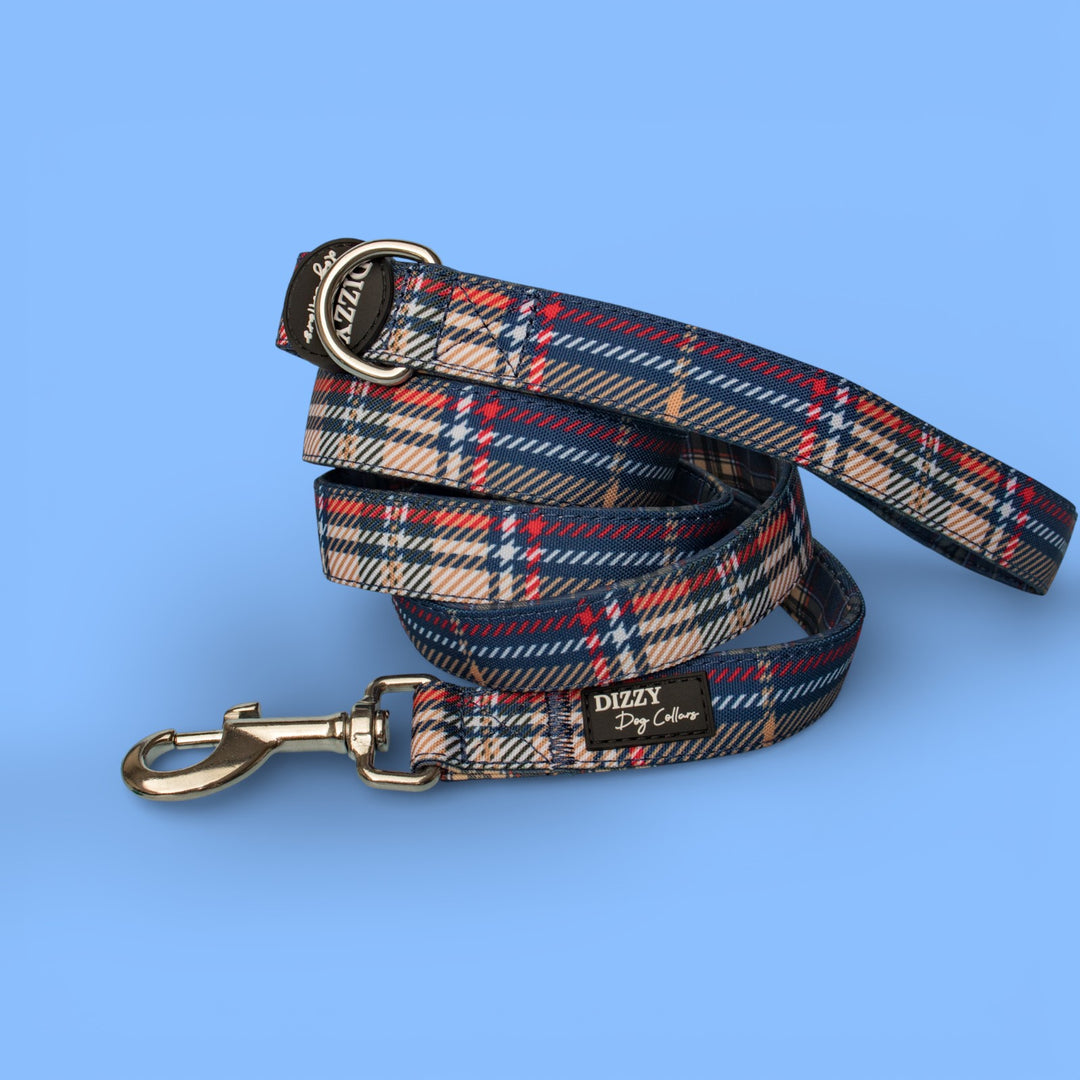 Highland Charm Dog Leash | Navy Plaid Stainless Steel – Dizzy Dog Collars