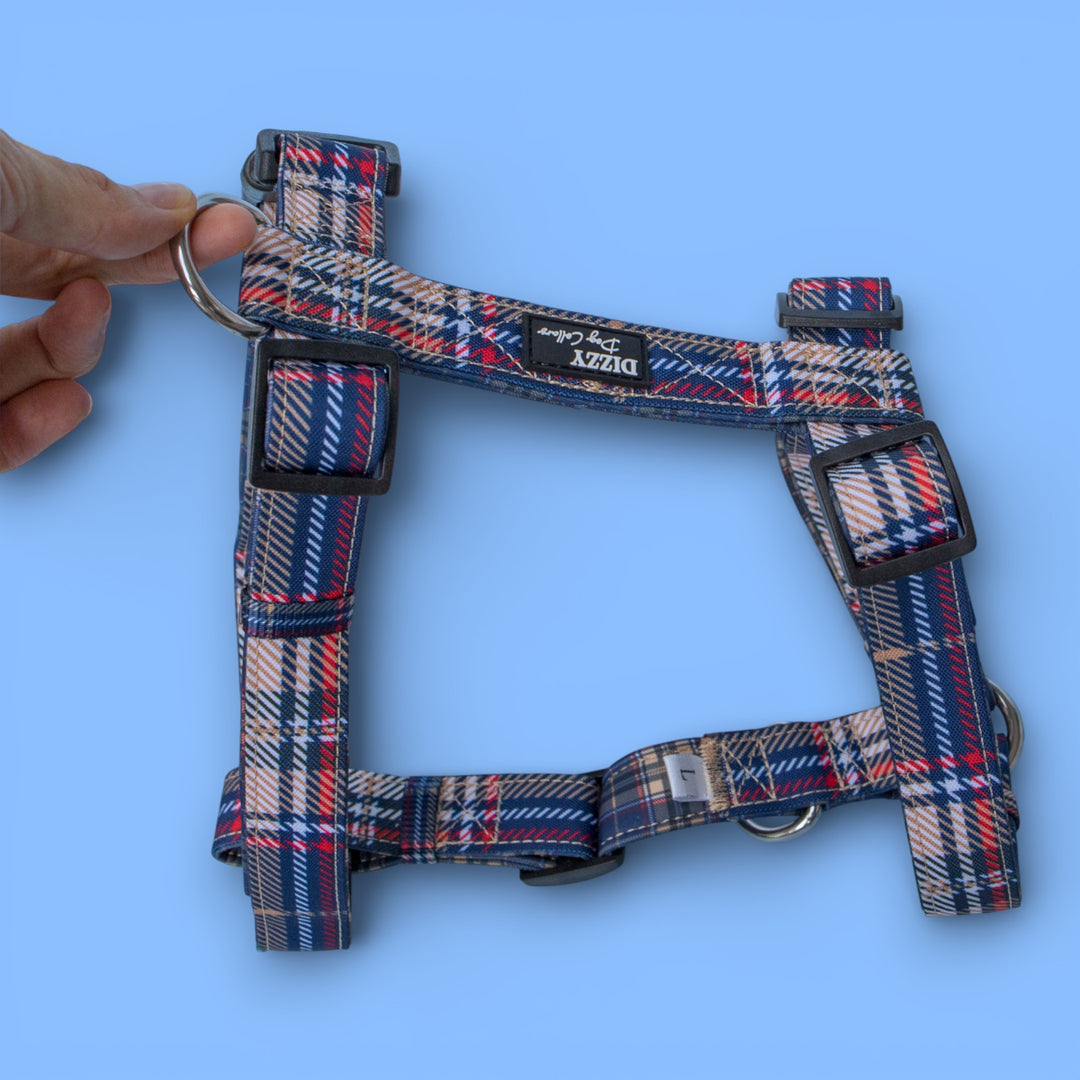 Highland Charm: H-Harness | Front & Back Attachment | Stainless Steel ...