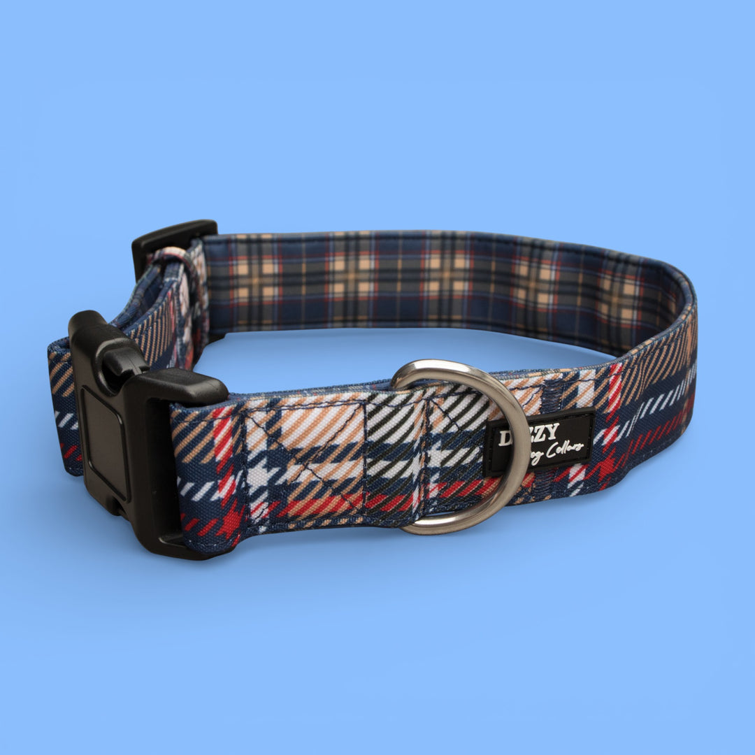 Extra Wide Highland Charm Dog Collar | Stainless Steel – Dizzy Dog Collars