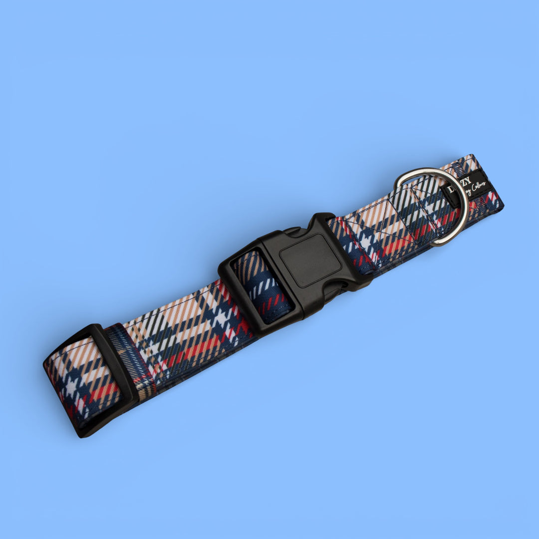 Extra Wide Highland Charm Dog Collar | Stainless Steel – Dizzy Dog Collars