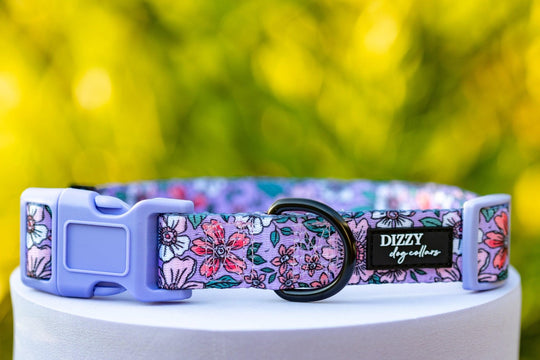 Designer And Australian Made Dog Collars | Dizzy Dog Collars – Dizzy ...