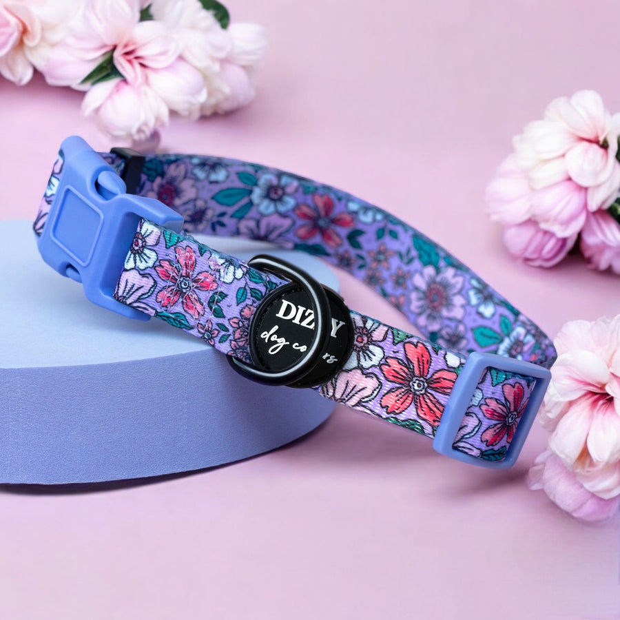 Designer And Australian Made Dog Collars | Dizzy Dog Collars – Dizzy ...