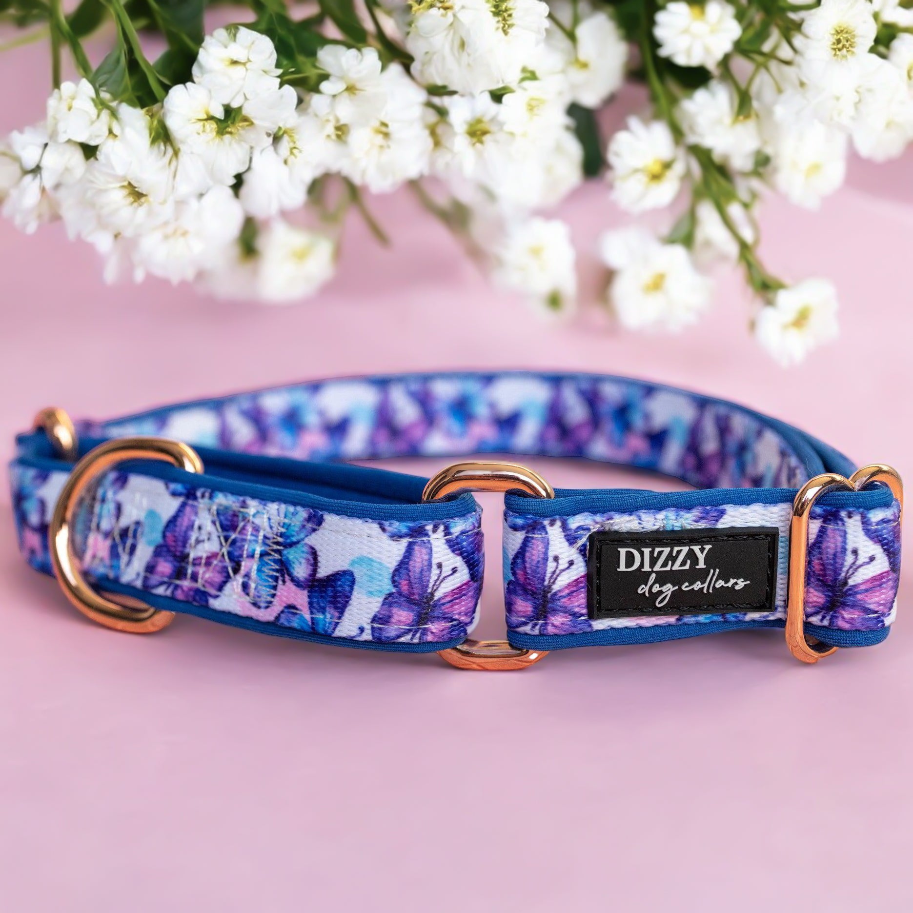 Kaleidoscope Martingale Collar | Colorful No-Slip | Dizzy Dog Collars ...