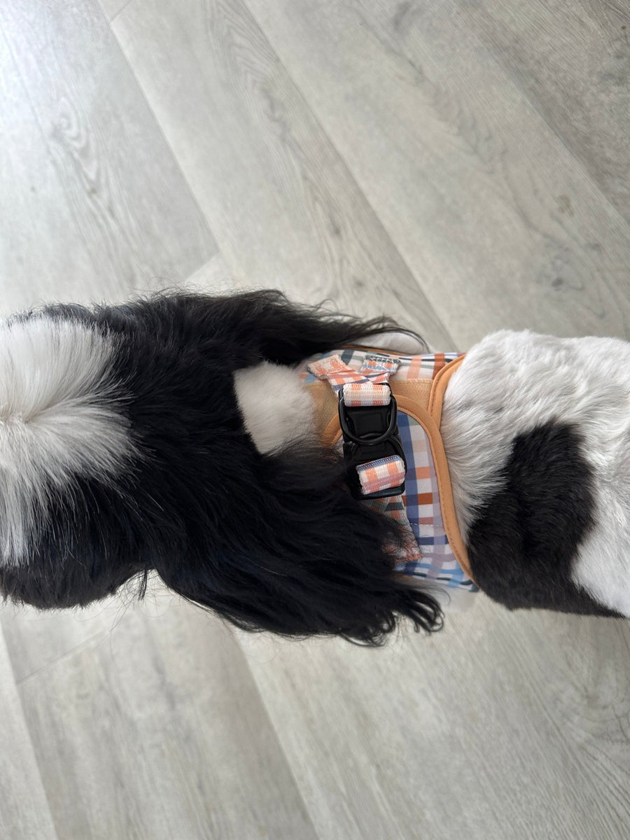 Step In Dog Harness: No Pull Harness | For XS to Medium Dogs & Cats ...