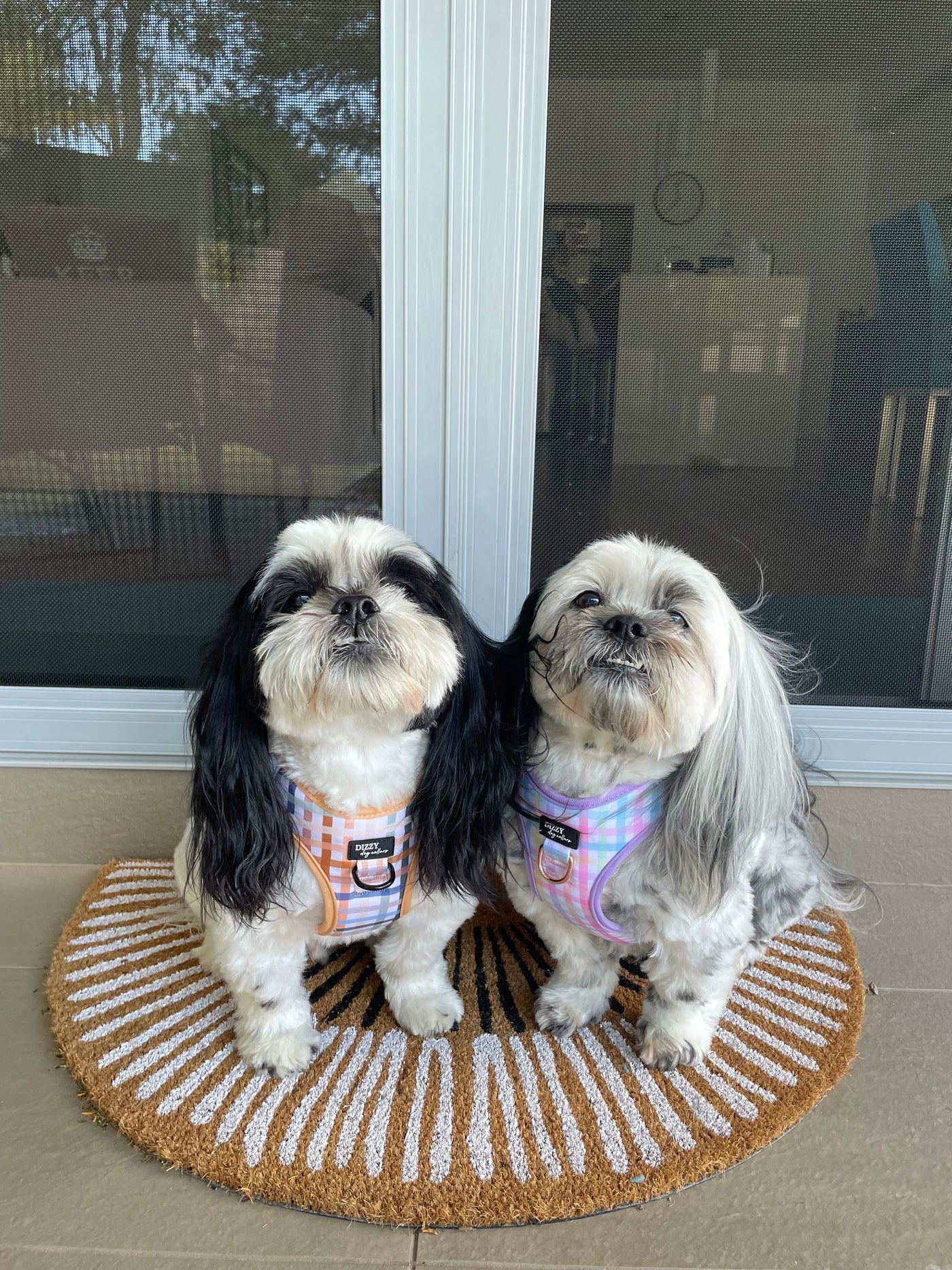 No Pull, Step In Harness | Suitable for XS to Medium Dogs and Cats | V ...