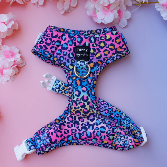 Dog Harnesses Australia | Afterpay Available | – Page 2 – Dizzy Dog Collars