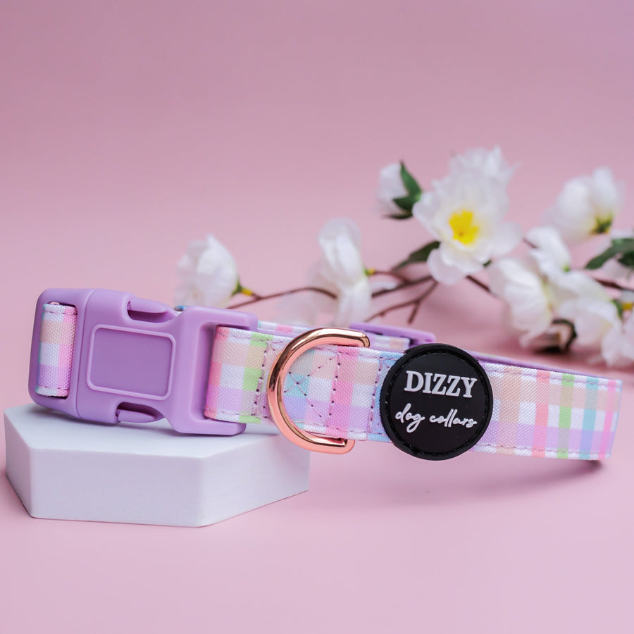Designer And Australian Made Dog Collars | Dizzy Dog Collars – Dizzy ...