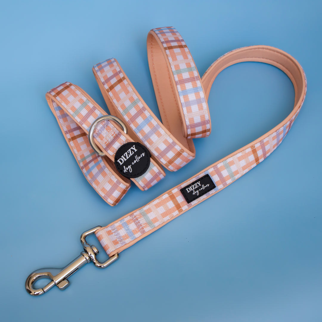 Vintage Gingham Dog Leash | Fully Padded Canvas & Neoprene Leash ...